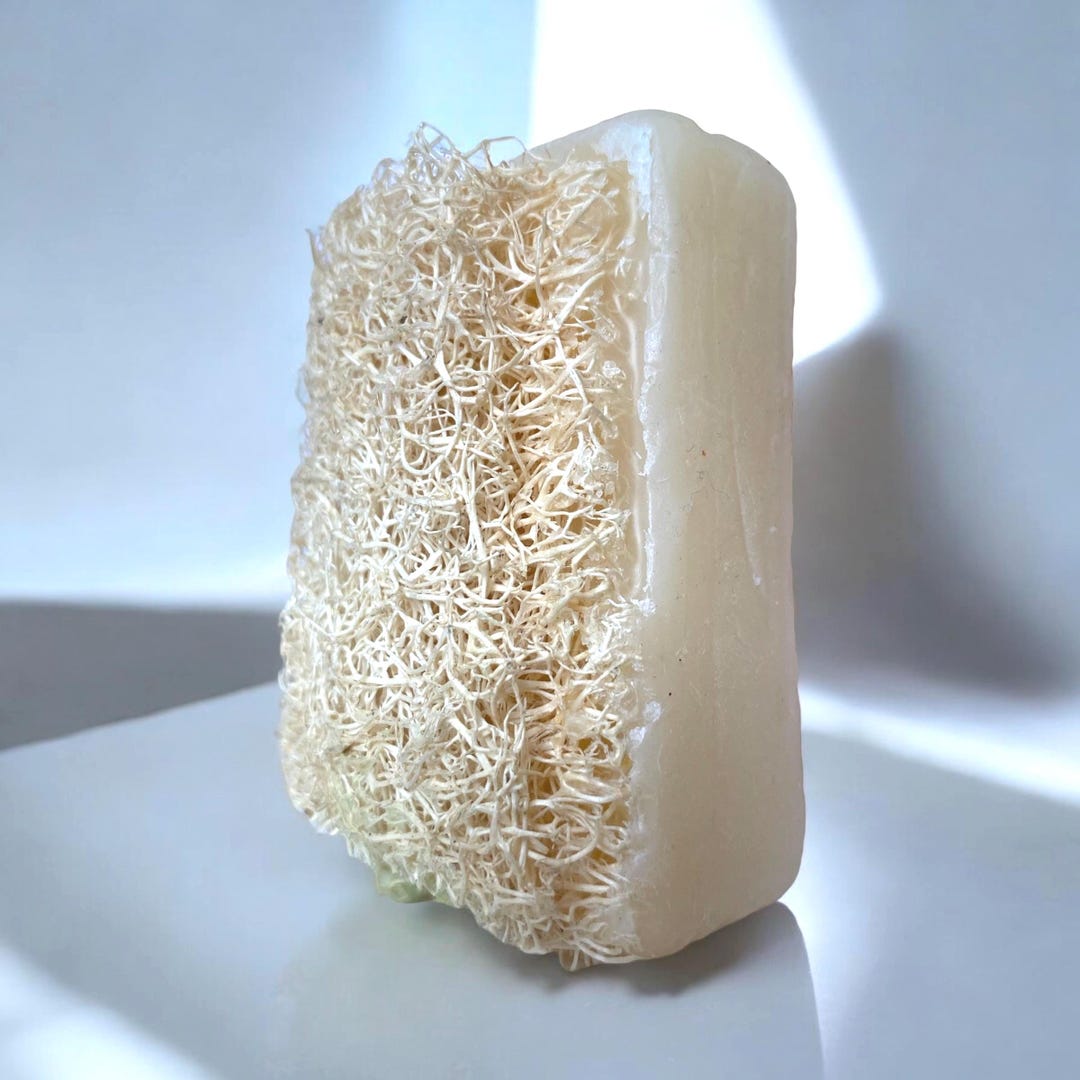 Rice Extract Natural Loofah Soap, Natural Exfoliation for Self Care and ...