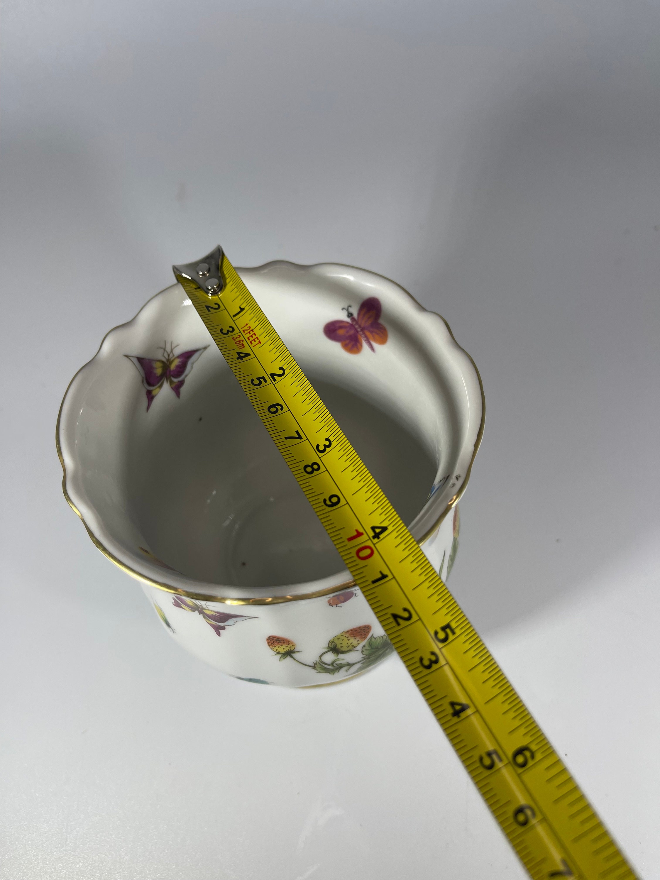 Ardalt Lenwile China Bowl, Beautiful Butterfly, Lady Bugs, Strawberries ...
