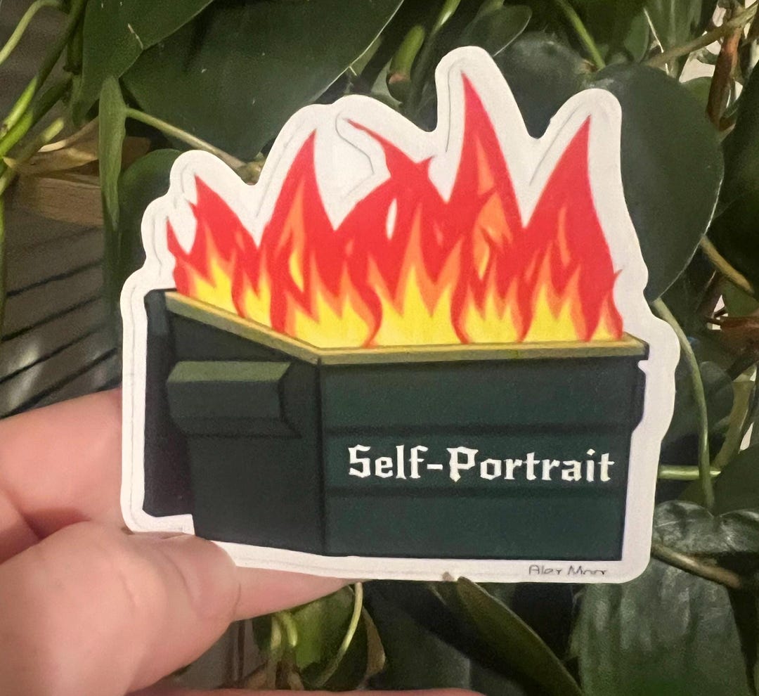 Dumpster Fire Sticker: Dark Humor Vinyl Decal - Self-portrait - Etsy