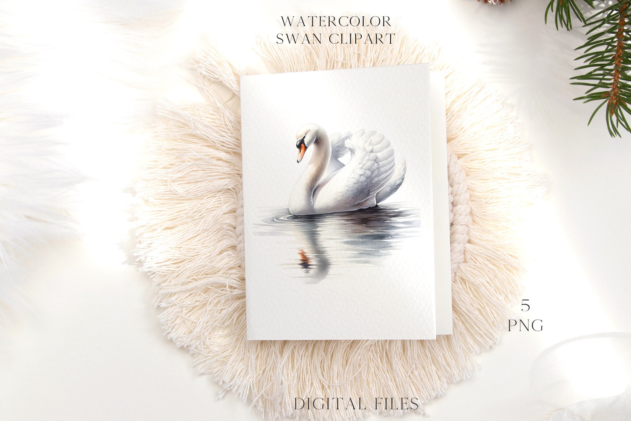 Watercolor Swan Clipart PNG Christmas Deco for Cards - Etsy