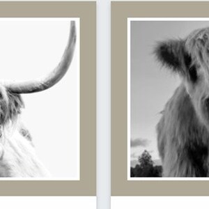 Highland Cow Mac Moo's 2024 Calendar - Etsy