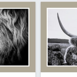 Highland Cow Mac Moo's 2024 Calendar - Etsy