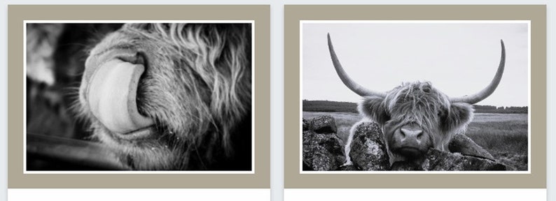 Highland Cow Mac Moo's 2024 Calendar - Etsy