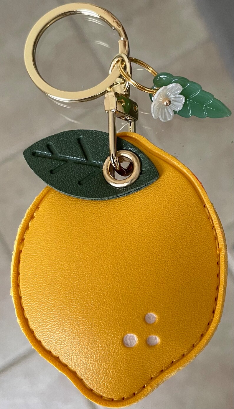 Kawaii Lemon Pineapple AirTag Holder Keychain, Coin Case - Etsy