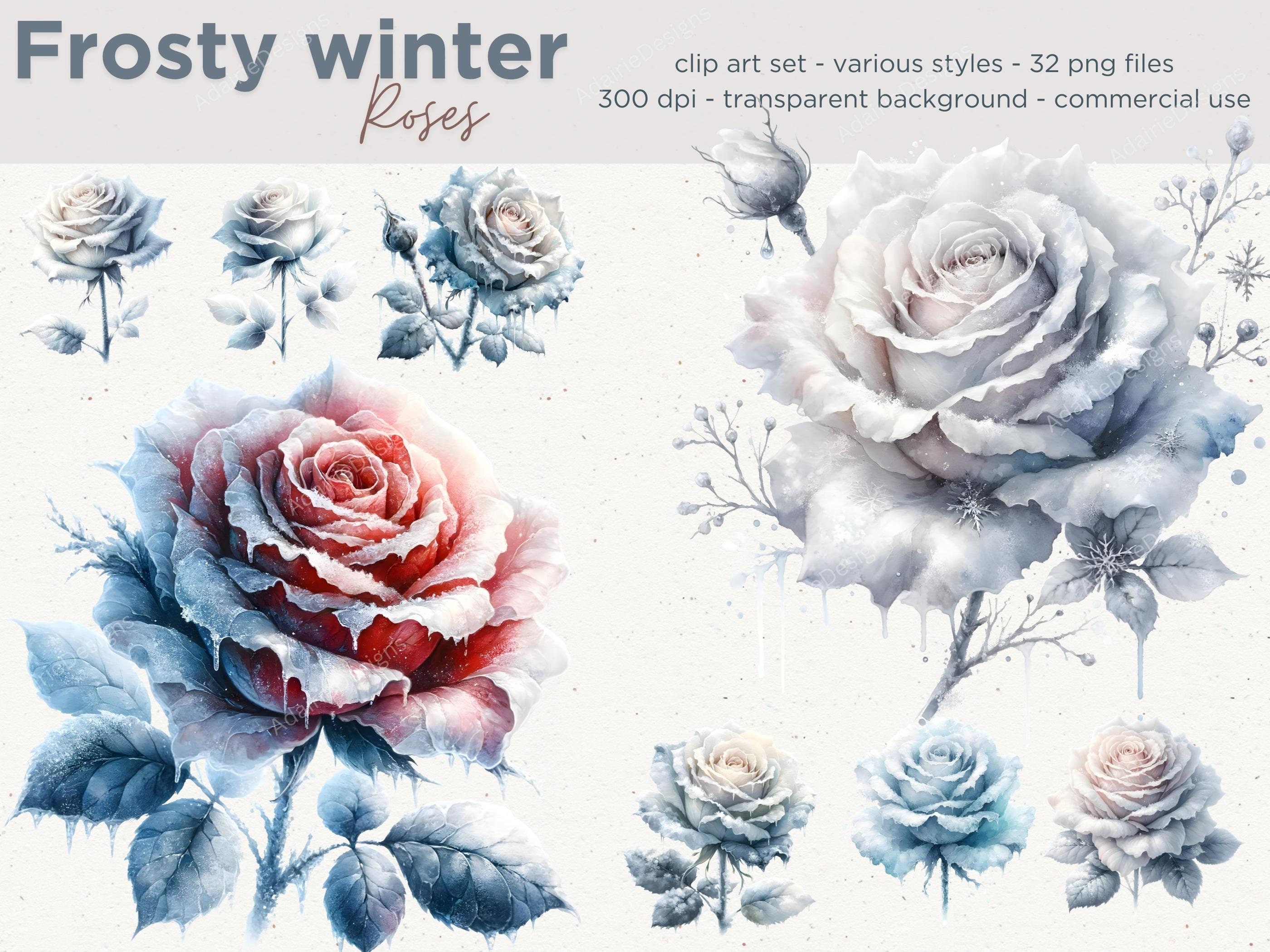 Frosty Winter Roses Clipart Floral, Flowers Clipart, Winter Clipart ...