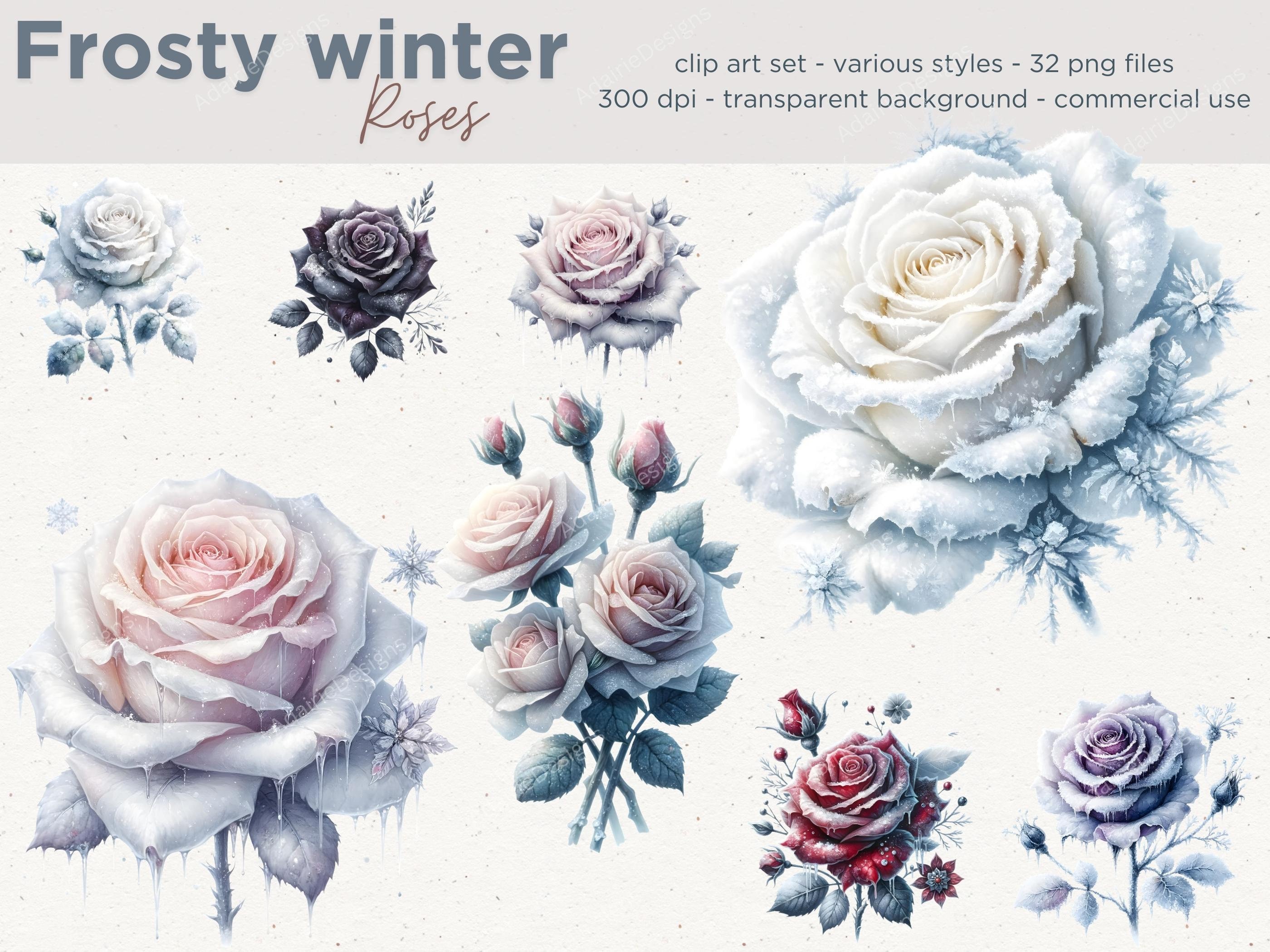 Frosty Winter Roses Clipart Floral, Flowers Clipart, Winter Clipart ...