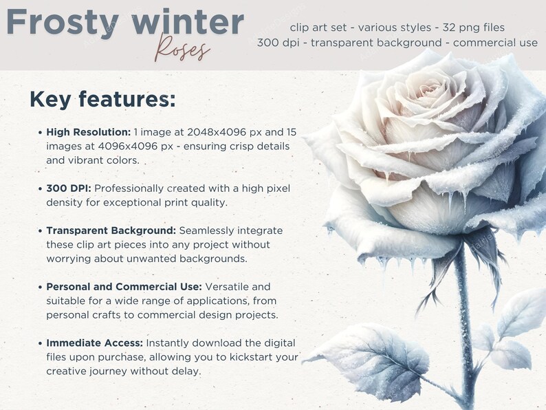 Frosty Winter Roses Clipart Floral, Flowers Clipart, Winter Clipart ...