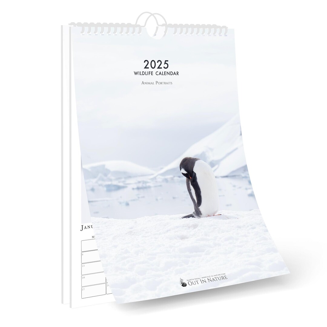 Wildlife Calendar animal Portraits 2025 A3 / Ledger Martin Sikma nature ...