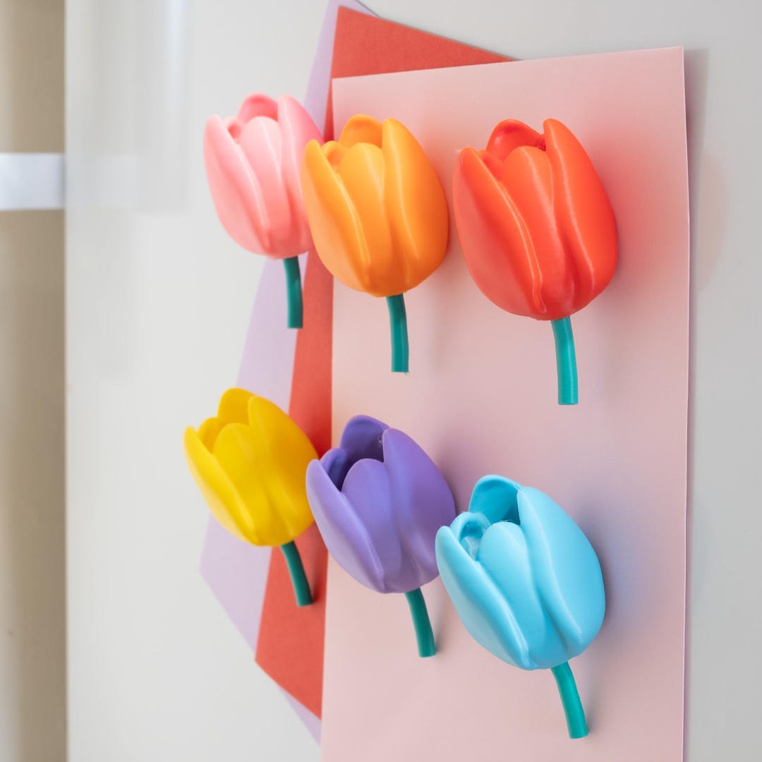 Tulip Flowers Set of 6 Fridge Whiteboard Magnet - Etsy
