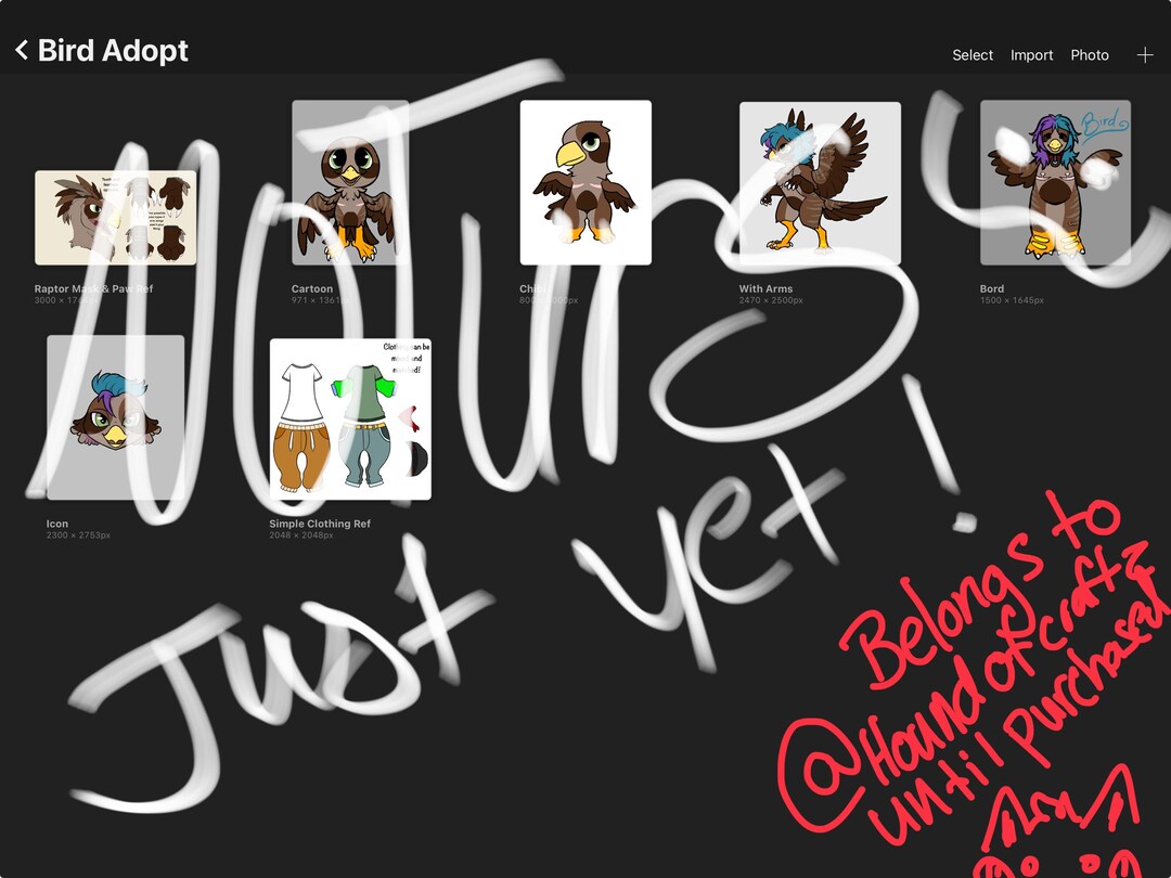 Trans (transgender) Bird/hawk Adoptable Character/fursona With 2 Color ...