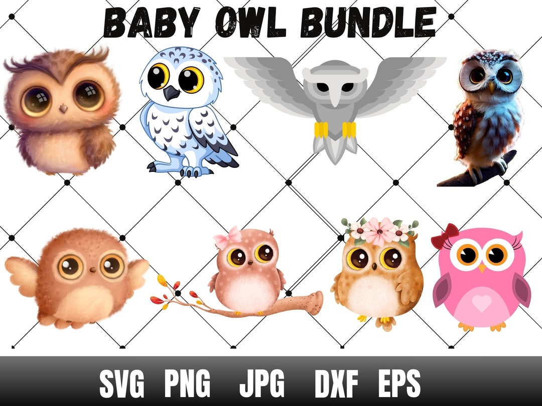 Baby Owl Clipart PNG Superb Owl Boho Flower Bird Wall Art Cute Owl ...