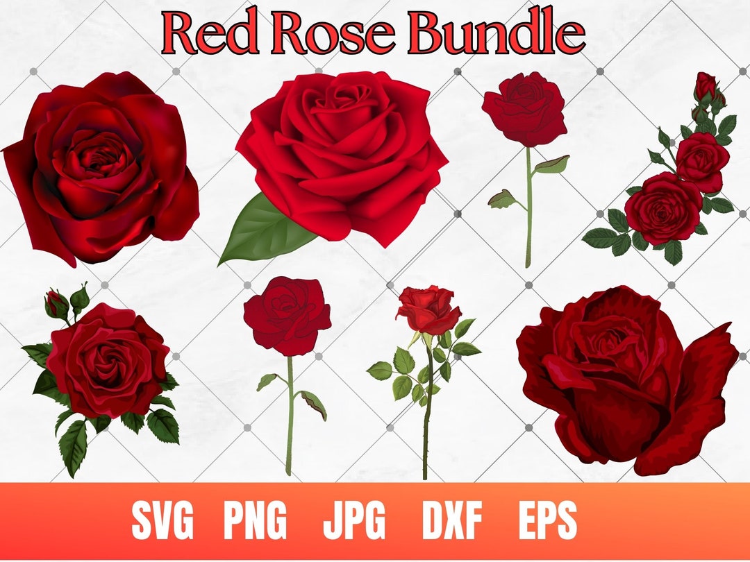 Rose SVG Bundle, Rose SVG, Flower Svg, Monogram Svg, Half Rose Svg, Cut ...