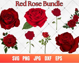 Rose SVG Bundle, Rose SVG, Flower Svg, Monogram Svg, Half Rose Svg, Cut ...