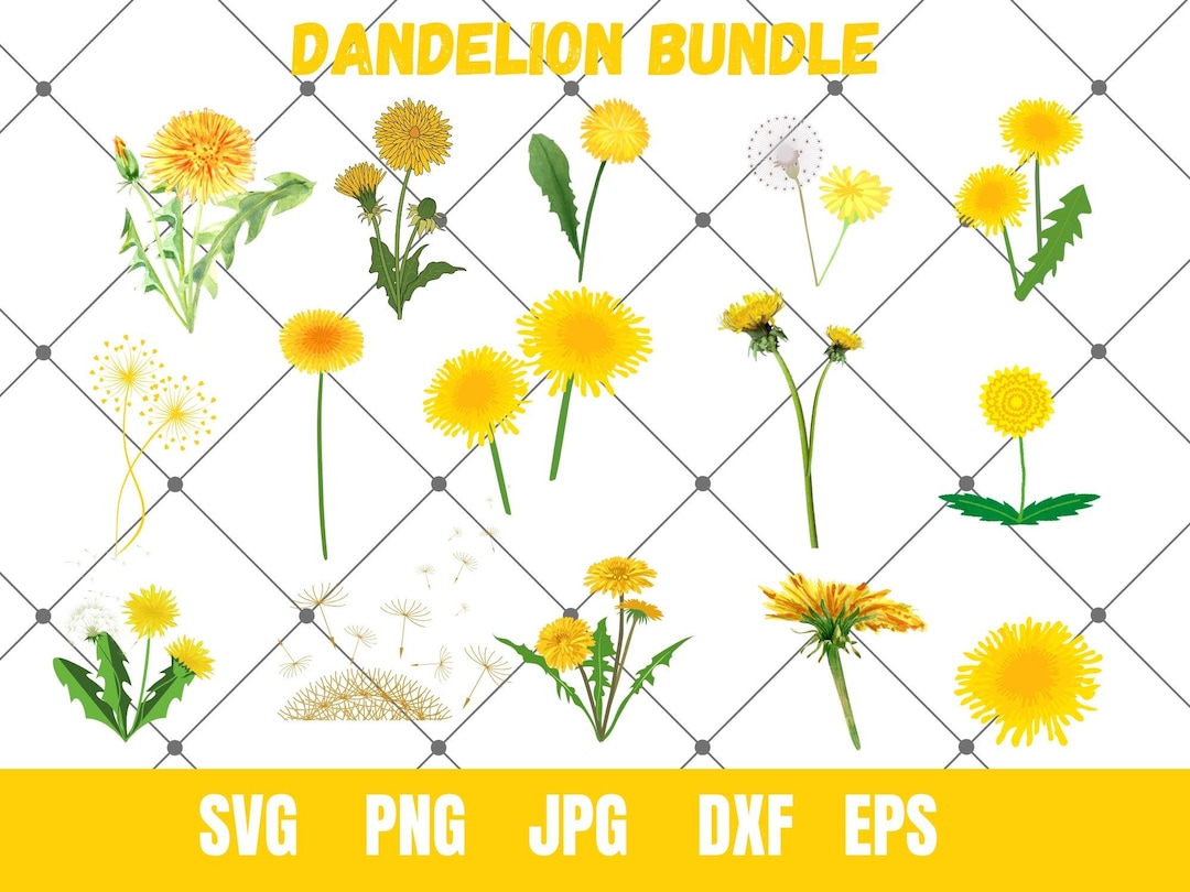 Dandelion SVG, Coloured Dandelion Flower Svg,dandelion Vector ...