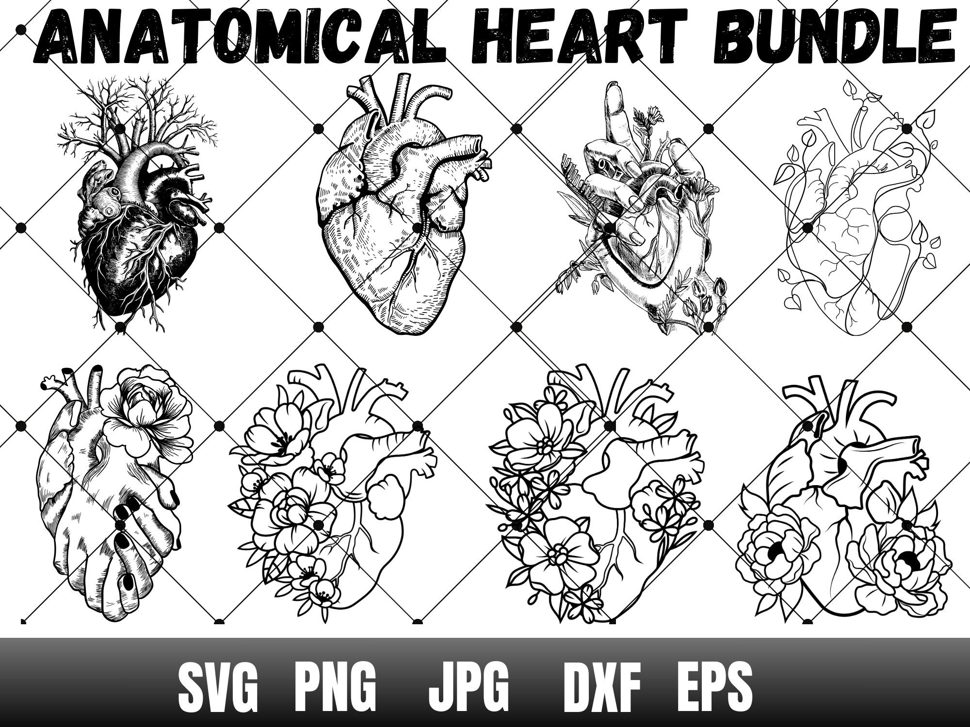 Anatomical Heart SVG Bundle, Floral Anatomy, Medical Cut File (digital ...
