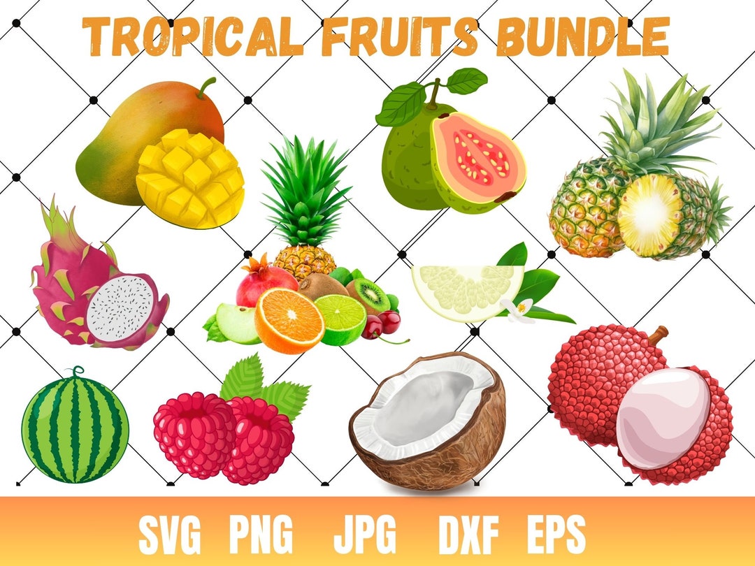 Tropical Fruit Clipart, High Quality Transparent Pngs, Instant Download ...