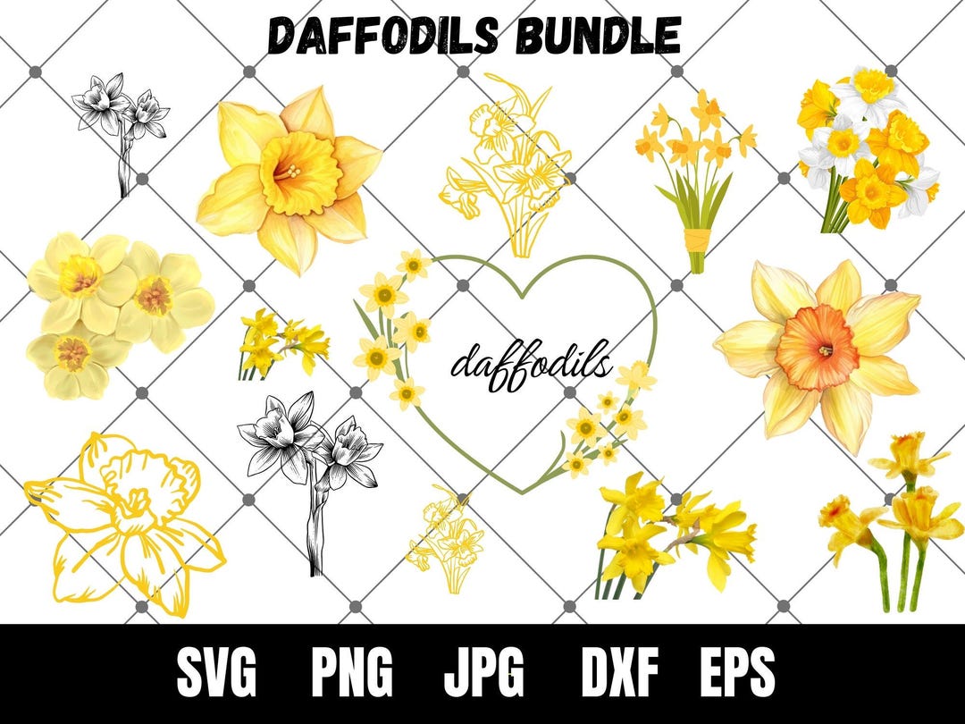 Daffodils Svg, Daffodil Flowers Svg,floer Svg,narcissus Svg, December ...