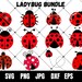 Lady Bug Svg Bundle,ladybug Svg,ladybug Png,ladybug Cut File,ladybug ...