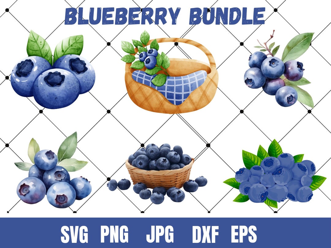 Blueberry Svg Bundle, Fruit Svg, Svg Designs, Blueberry Clipart ...