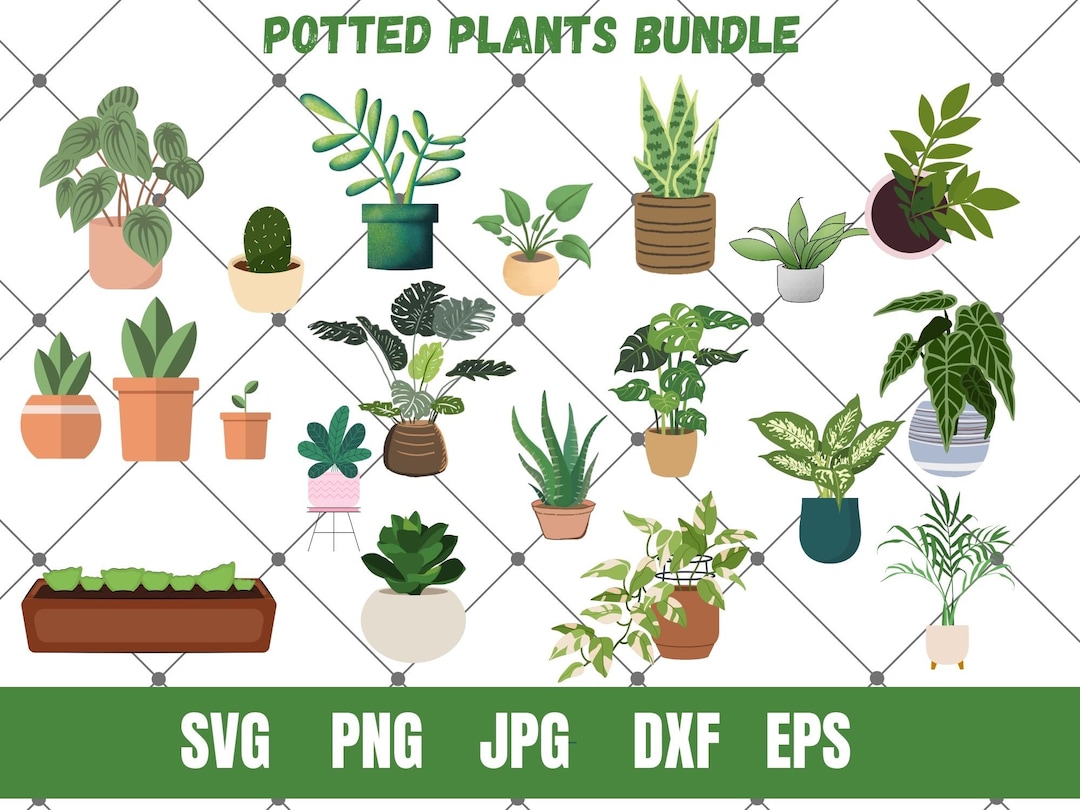 Plant Svg Bundle, Potted Plant SVG Bundle, Houseplant Svg, Plants in ...