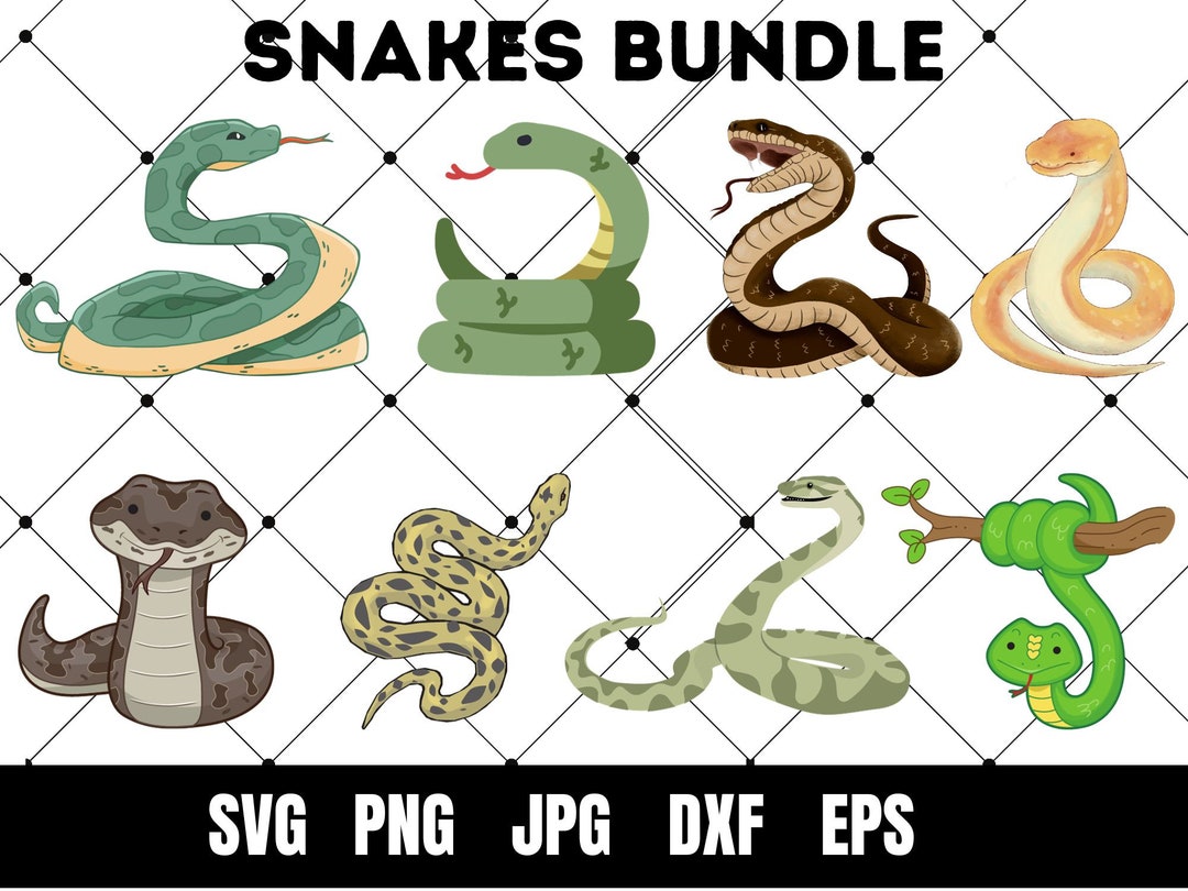 Snake SVG Bundle | Floral Snake SVG | Celestial Snake SVG | Snake With ...