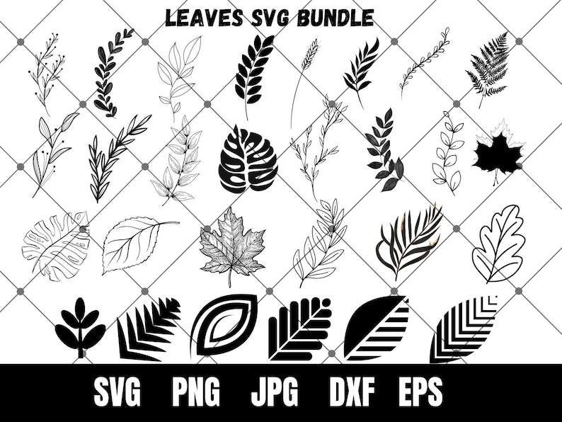 Feuilles SVG Bundle, Clipart feuille, Laurel Svg, Branches Svg, Bundle ...