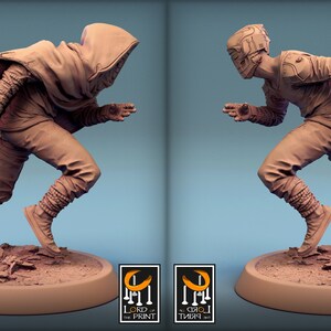 Human Nomad Leader, Tabletop Mini, Pathfinder Dnd, 3D Print Resin Print ...
