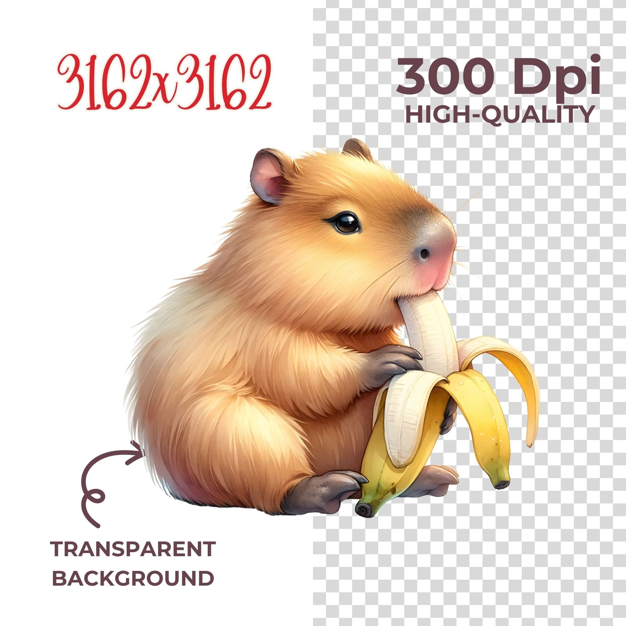 Charming Capybara Moments Hand-drawn Watercolor Series Isolated Artwork ...