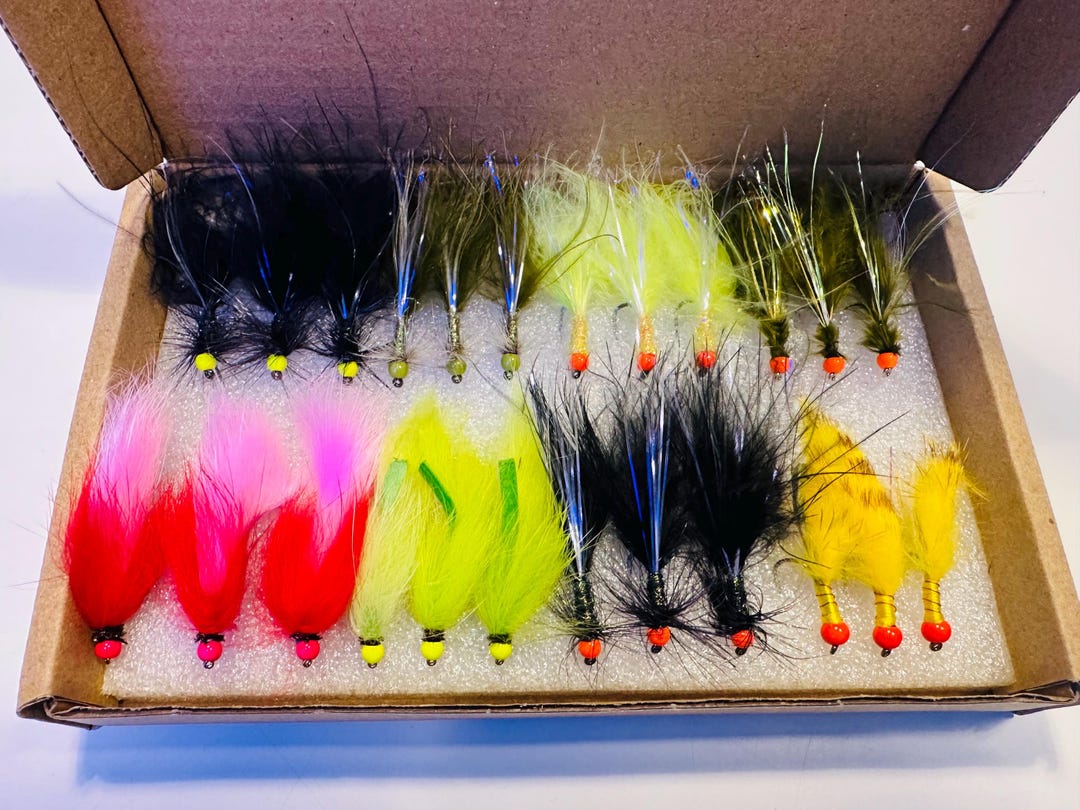 Fly Fishing Lure Box 1 Limited Edition 24 Flies With 3 of Each Pattern ...