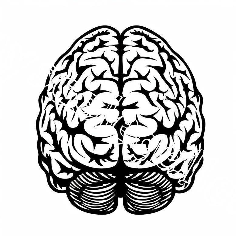 Brain SVG 2 Brain DXF, Brain PNG, Brain Clipart, Brain Silhouette ...