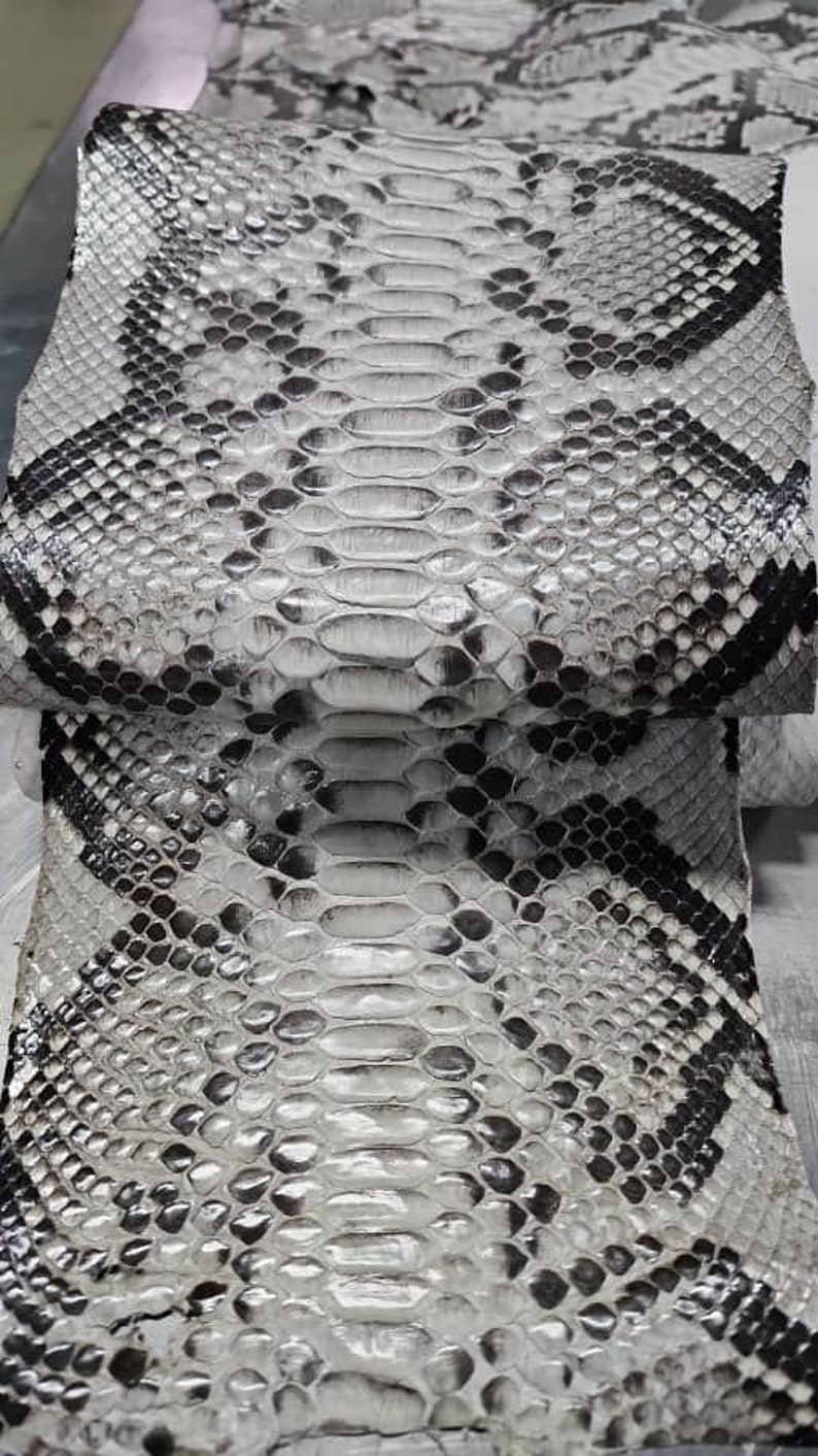 Genuine Reticulated Python Hide: Matte Finish Exotic Leather - Etsy
