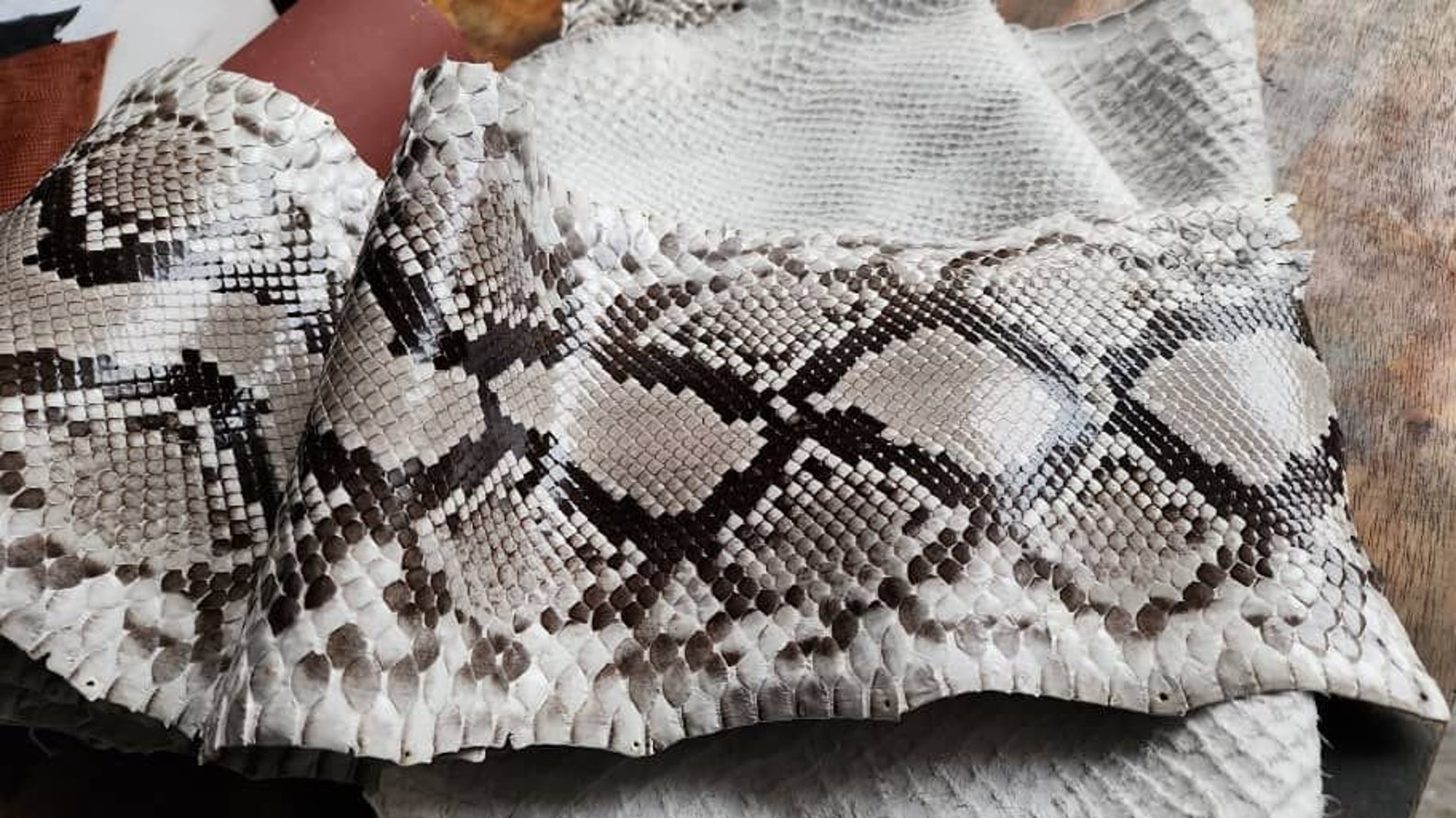 Genuine Reticulated Python Hide: Matte Finish Exotic Leather - Etsy