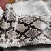 Genuine Reticulated Python Hide: Matte Finish Exotic Leather - Etsy