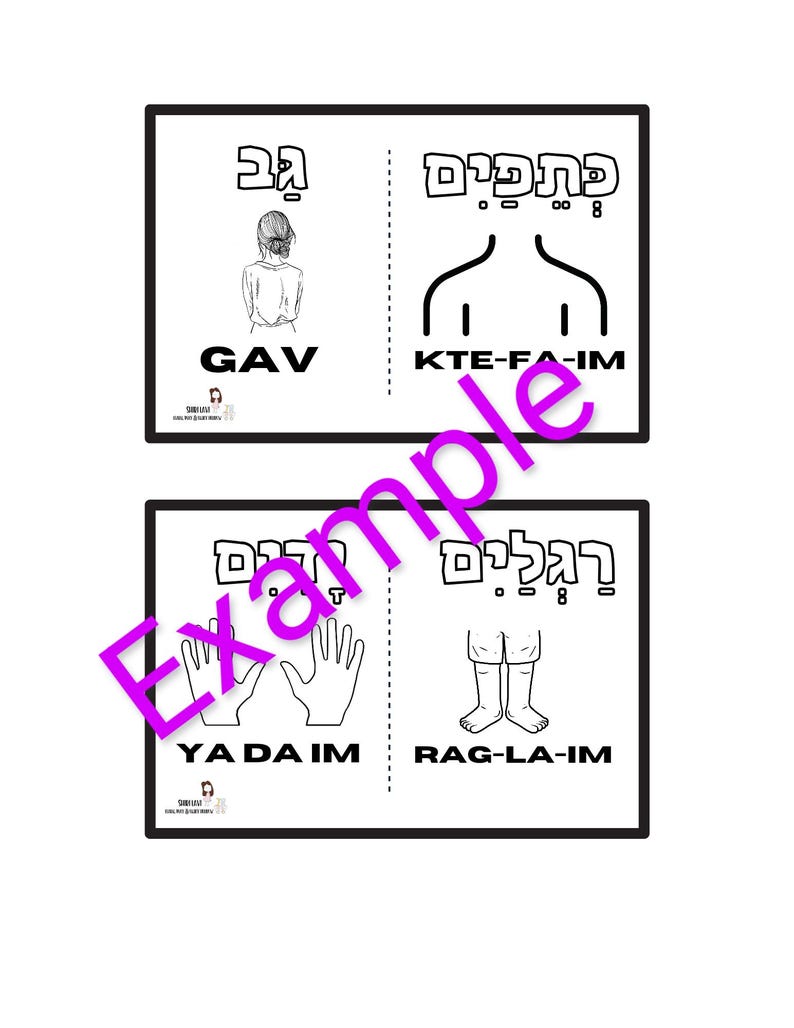 Body Parts in Hebrew Booklet - Etsy