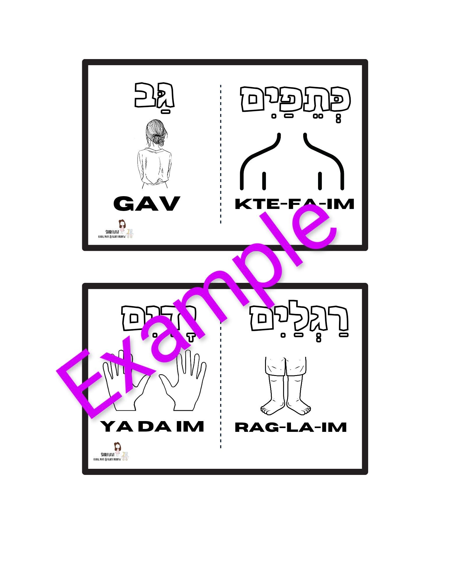 Body Parts in Hebrew Booklet - Etsy