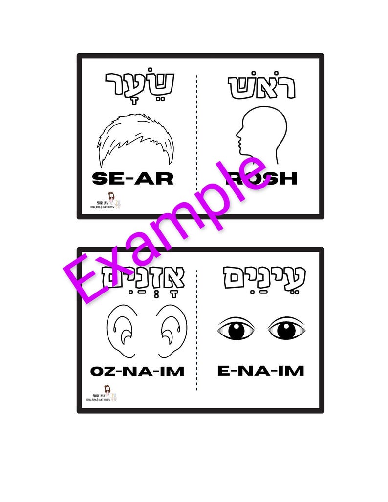 Body Parts in Hebrew Booklet - Etsy