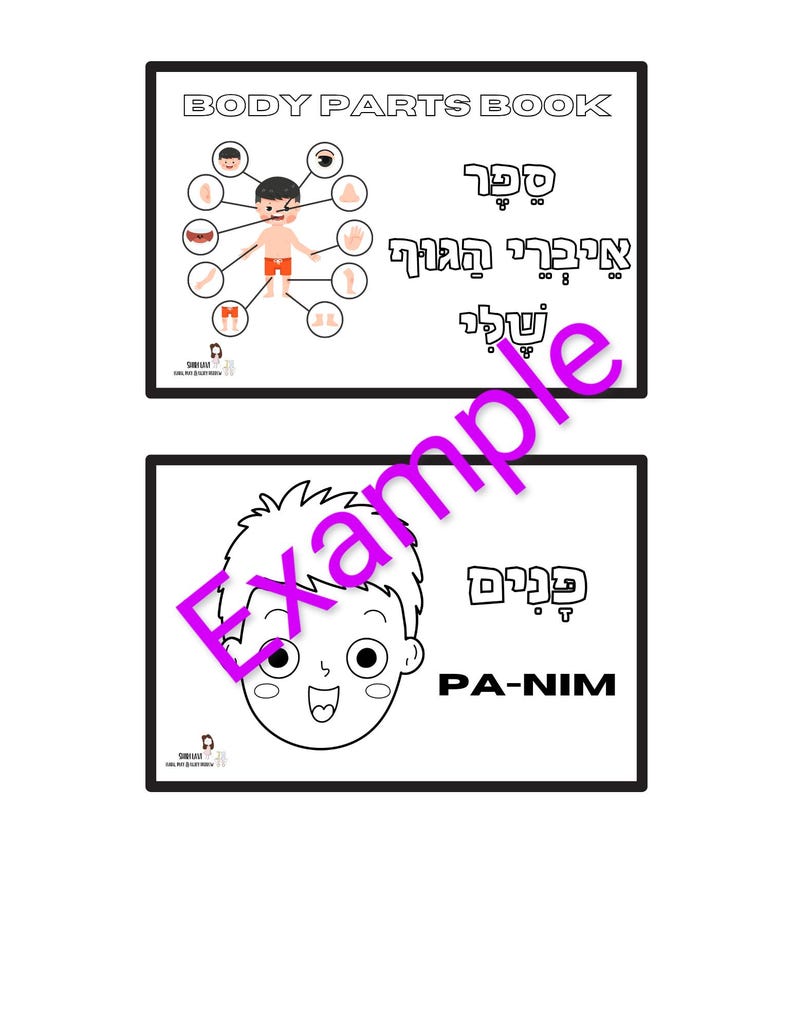 Body Parts in Hebrew Booklet - Etsy
