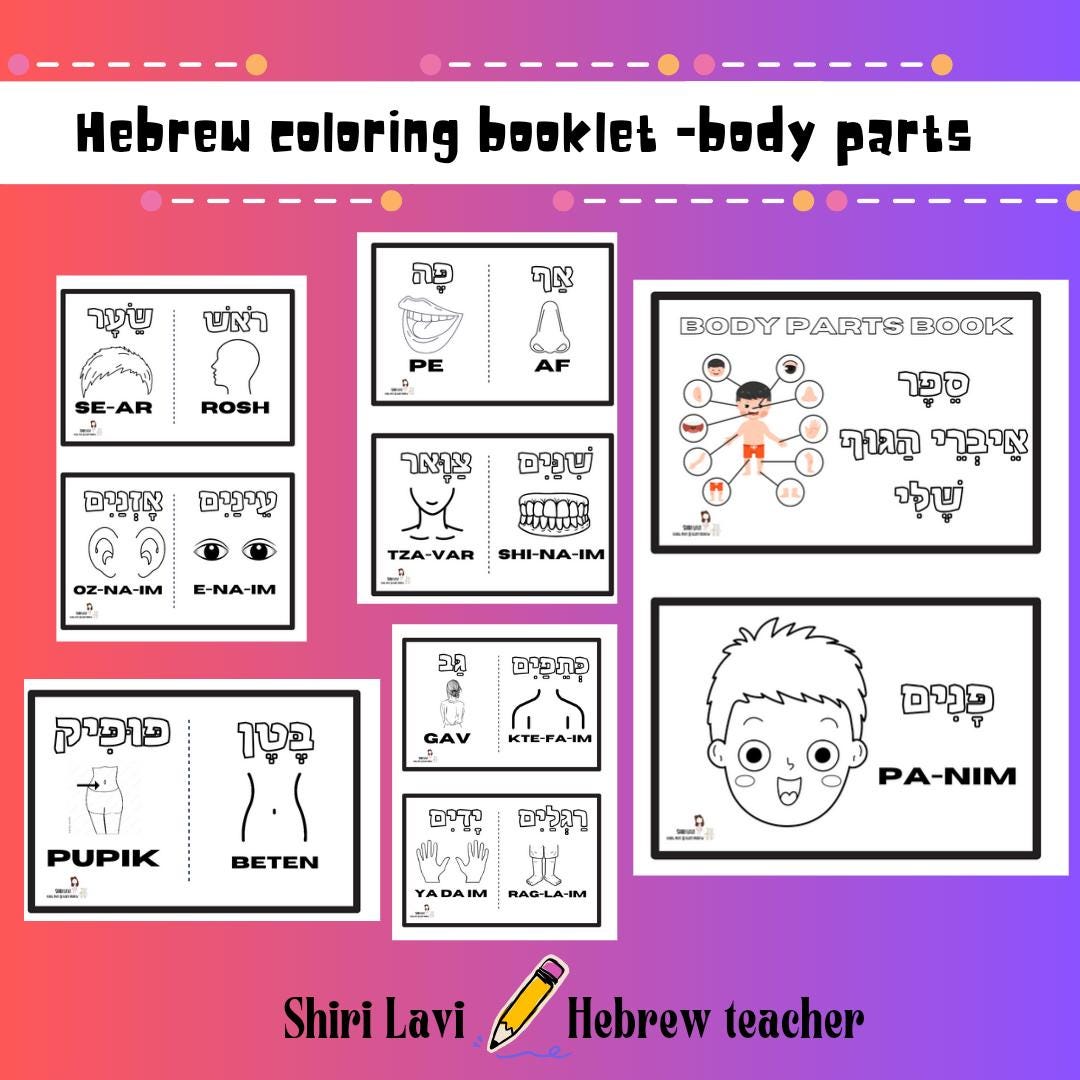 Body Parts in Hebrew Booklet - Etsy