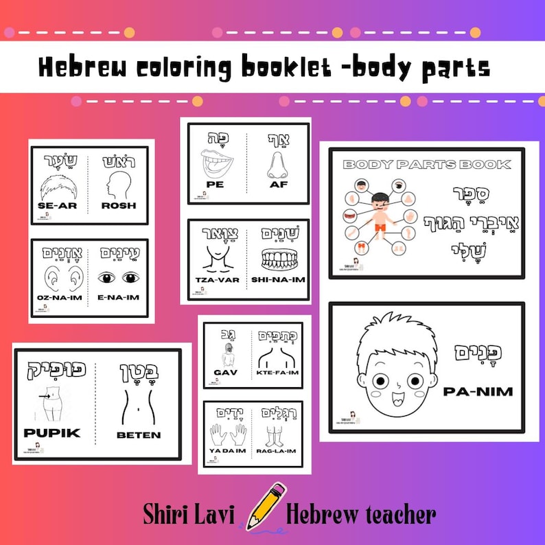 Body Parts in Hebrew Booklet - Etsy