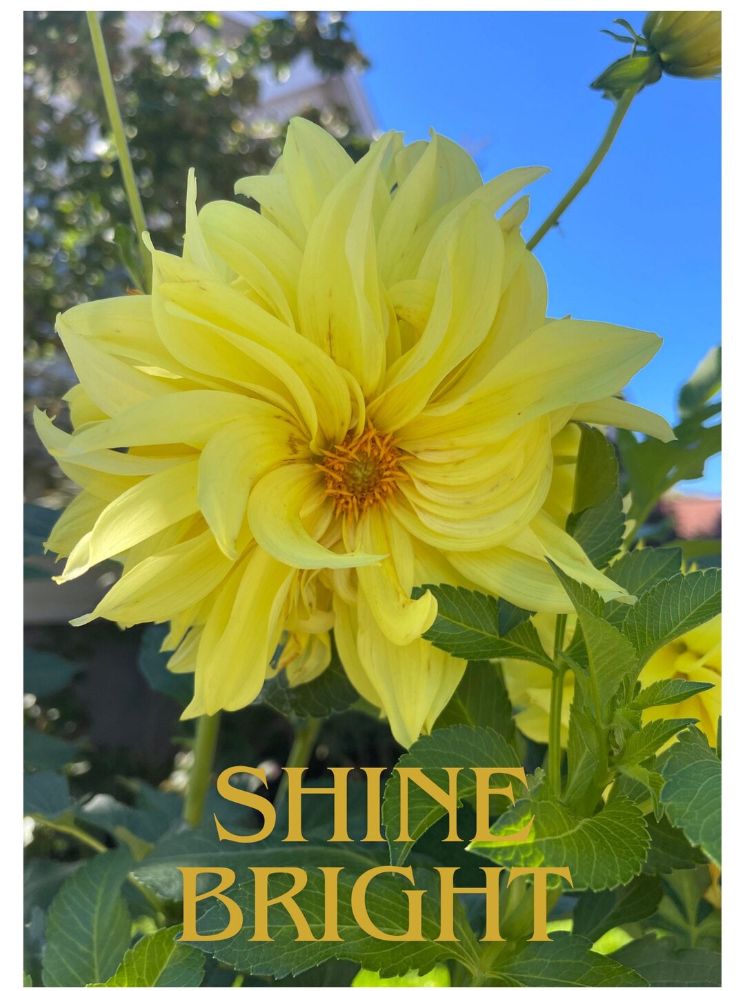 Shine Bright Printable Card - Etsy