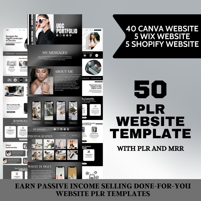 Plr , PLR Digital Planner, Plr Website , PLR Ebook Canva Template, Dfy ...