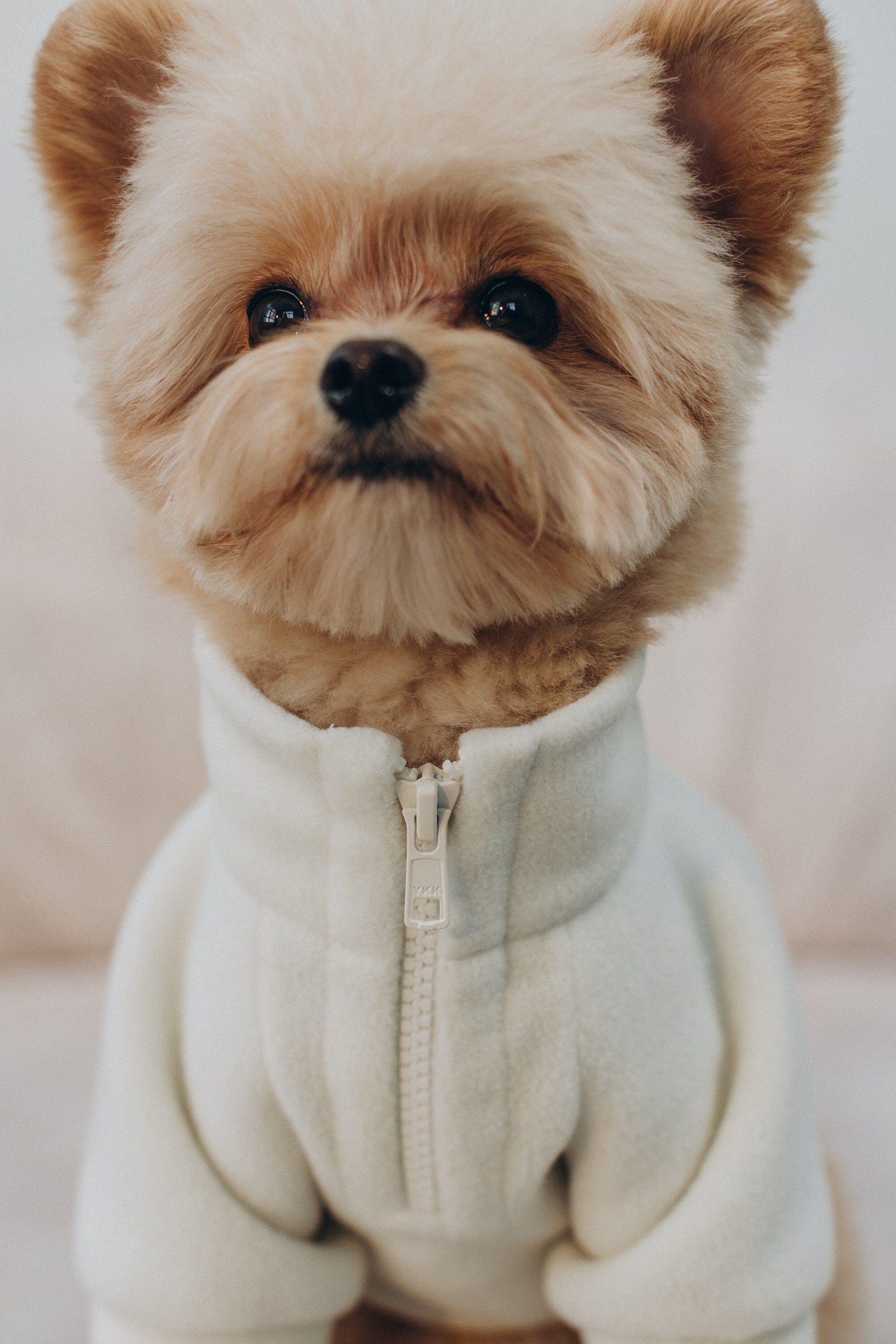 Dog Fleece Jumper, Winter Dog Clothes,premium Dog Clothes, Fleece Crew ...