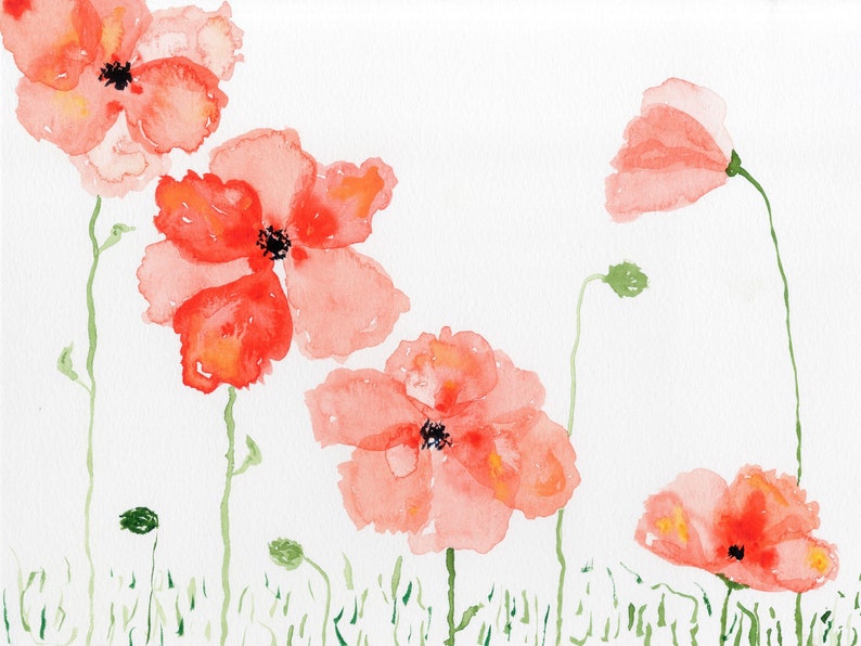 POPPIES, 5" X 4" Blank Greeting Cards, Watercolor by Michael Chamberlin ...
