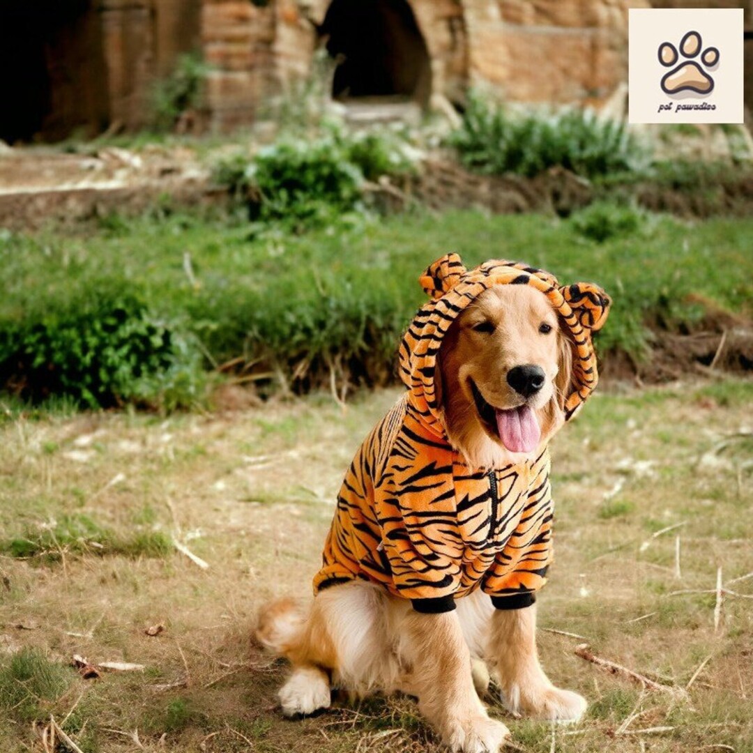 Big Dogs Tiger Costume,dogs Dragon Costume,dogs Hooded Sweaters,warm ...