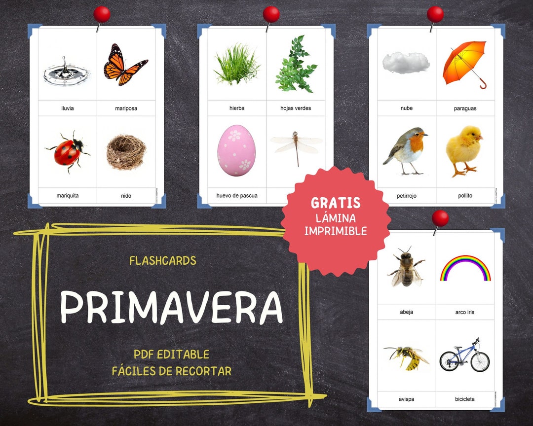 SPRING Montessori · 28 Easy-to-cut Educational Cards · Real Photos ...