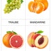 FRUITS Montessori · GERMAN · 40 Easy-to-cut Educational Cards · Real ...
