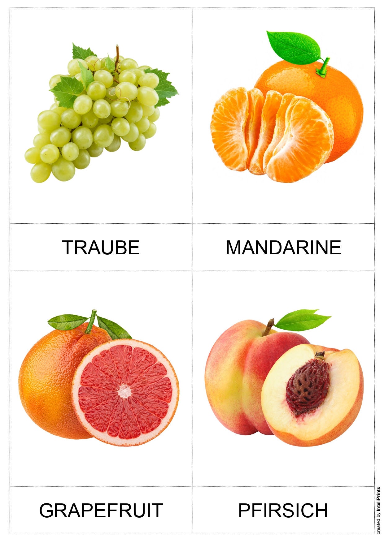 FRUITS Montessori · GERMAN · 40 Easy-to-cut Educational Cards · Real ...