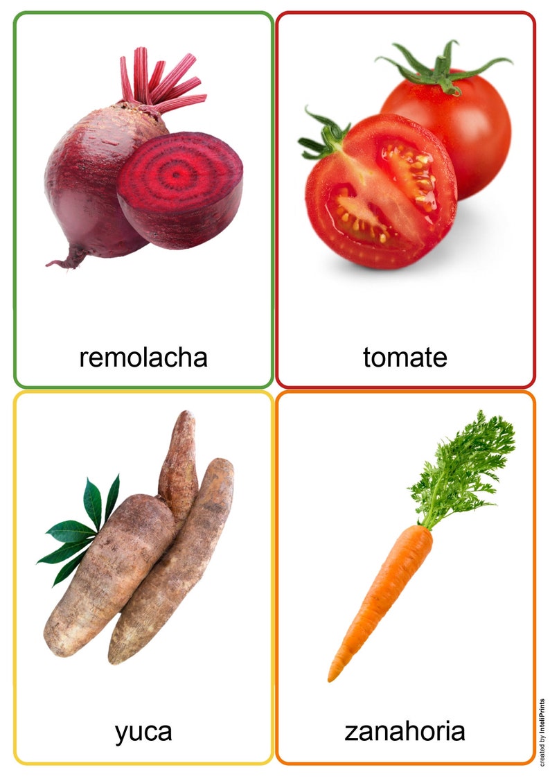 VEGETABLES Montessori SPANISH 40 Easy-to-cut Cards Real Photos ...