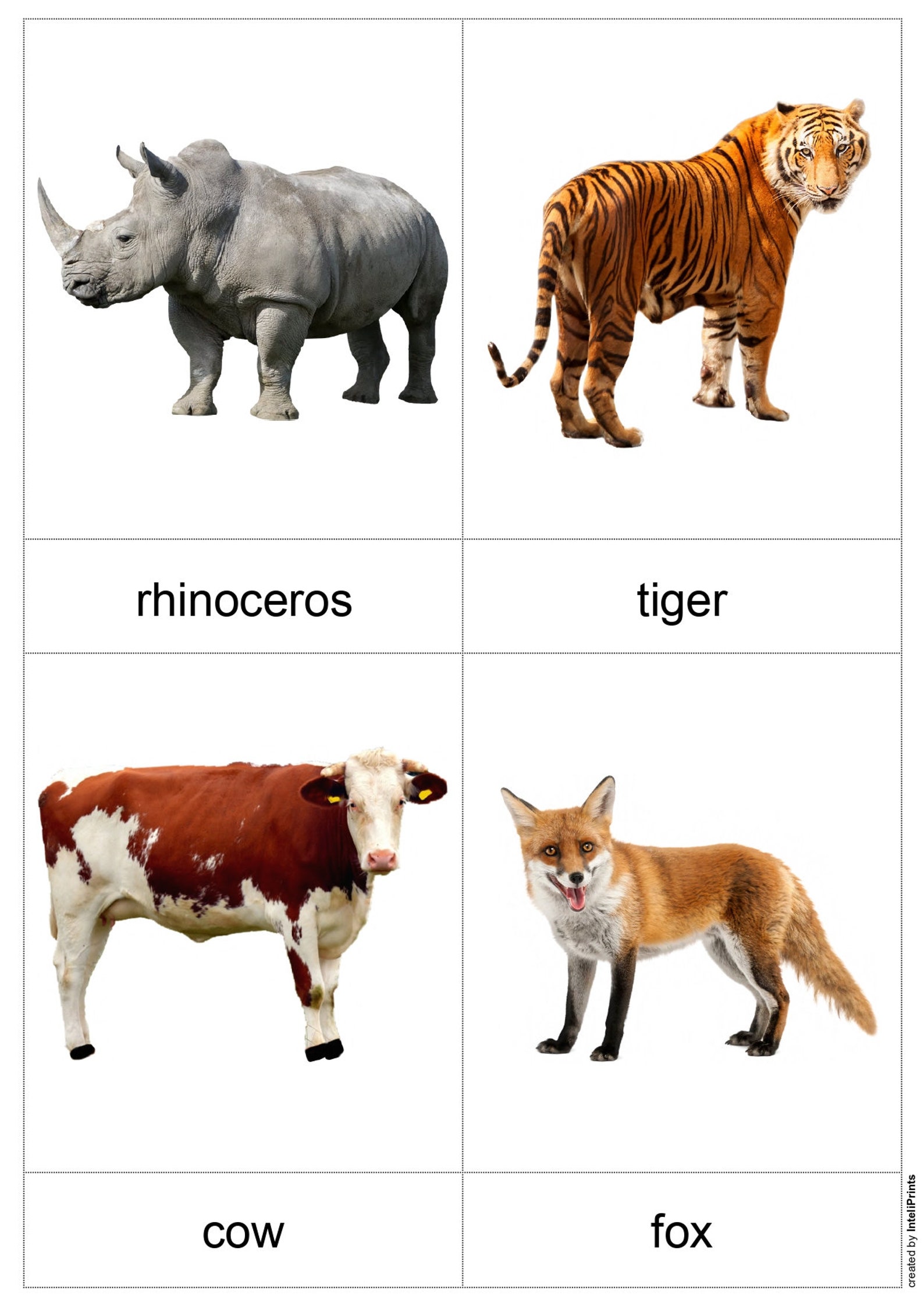 MAMMALS Montessori · ENGLISH · 24 Easy-to-cut Educational Cards · Real ...