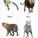 MAMMALS Montessori · ENGLISH · 24 Easy-to-cut Educational Cards · Real ...